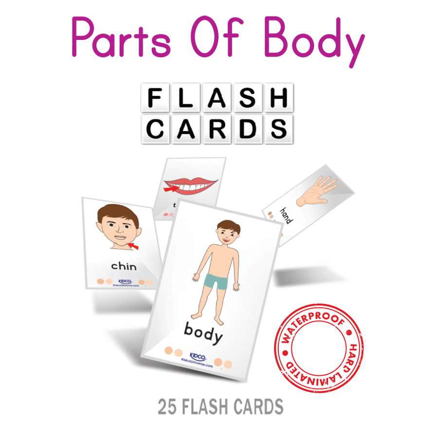 Parts of Body Flash Cards – Kidco